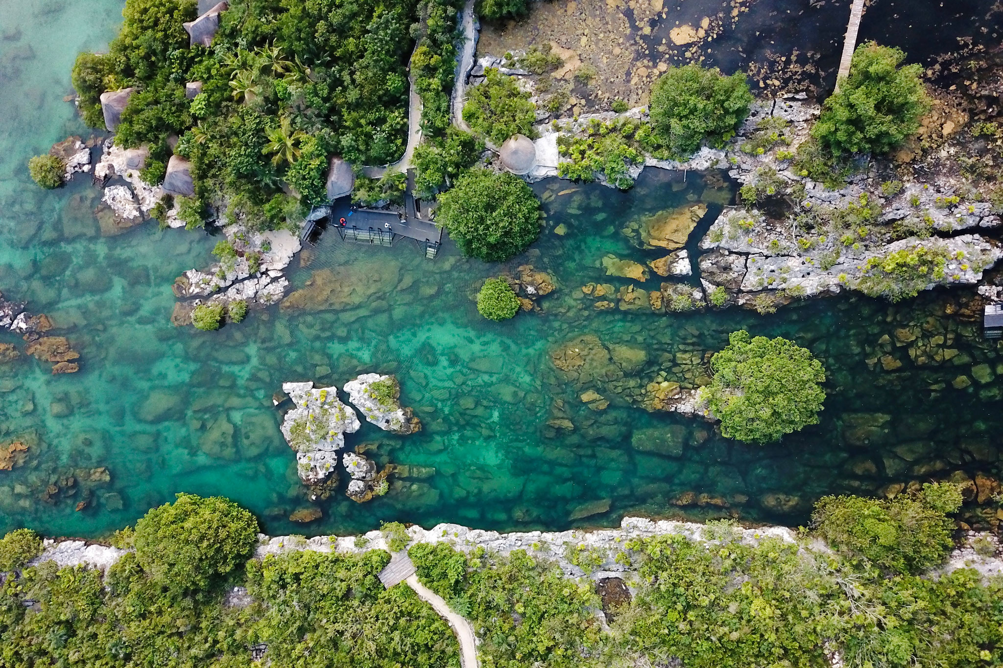 Excursion : 3 écosystèmes de plongée en apnée (départ de Tulum) | Transat